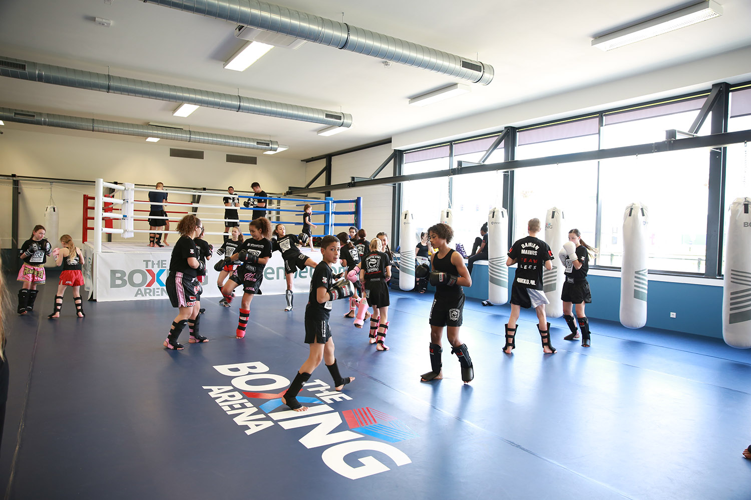 Gallery - The Boxing Arena