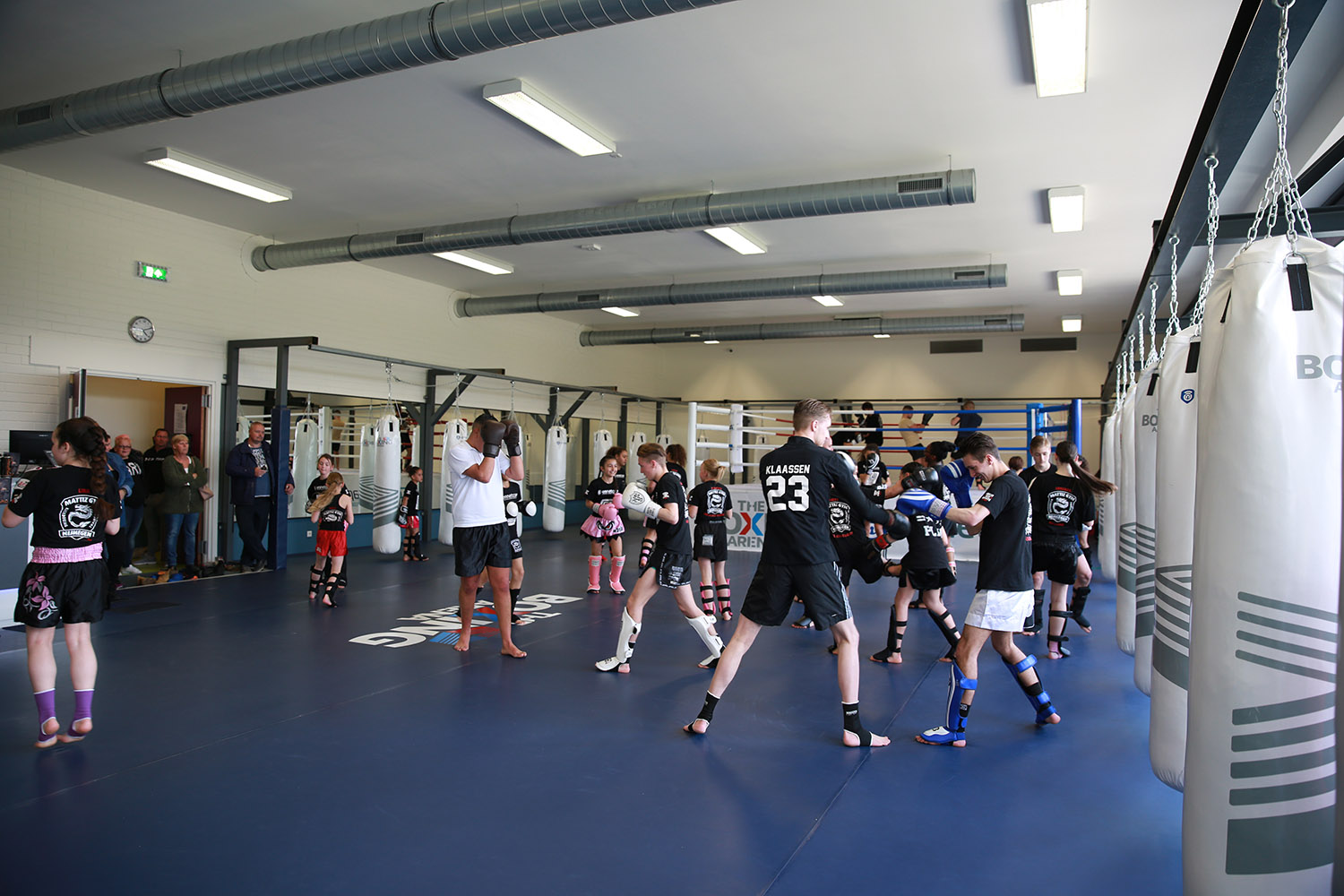 Gallery - The Boxing Arena